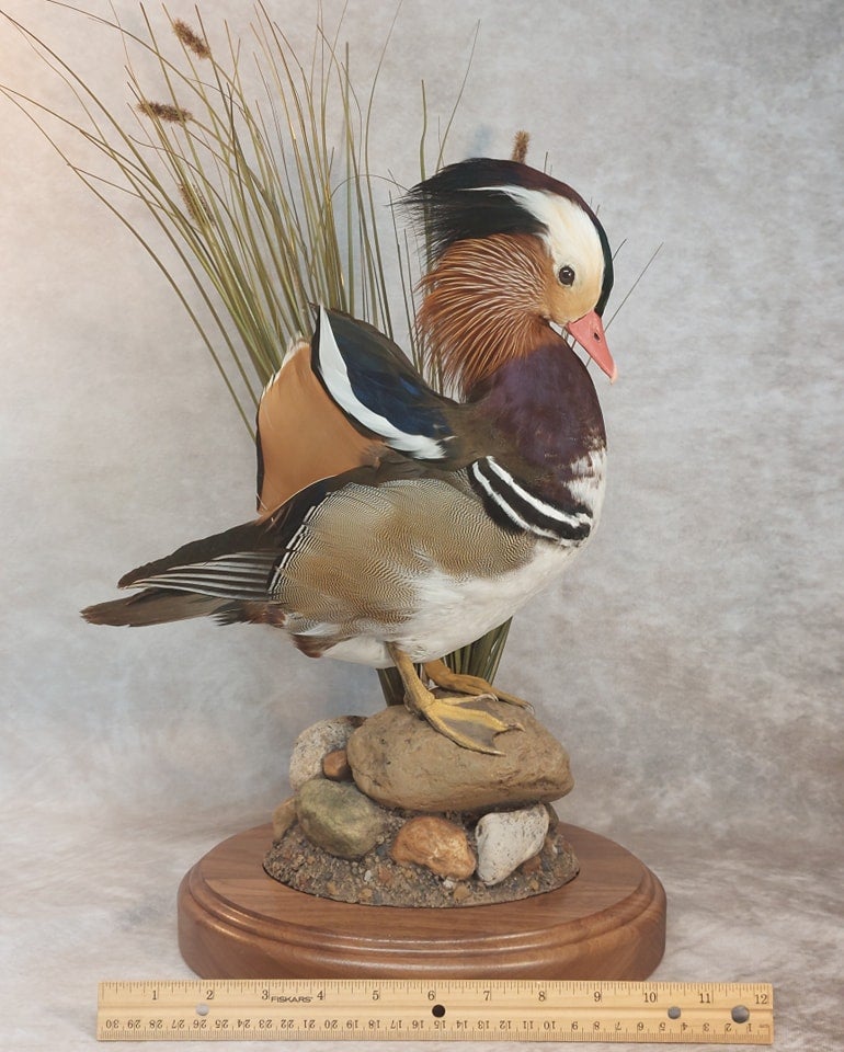 duck mount